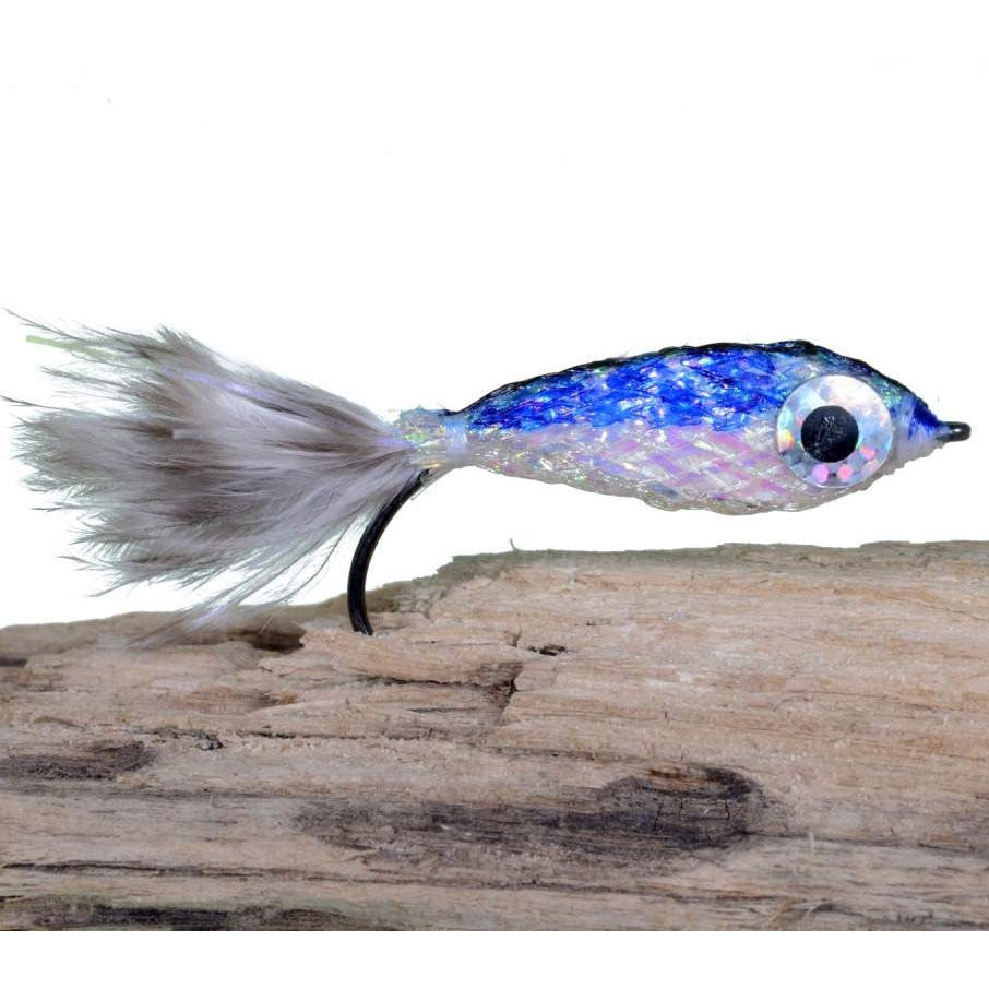 Twinkle tube fish blue