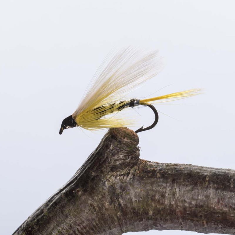 White/Yellow Streamer